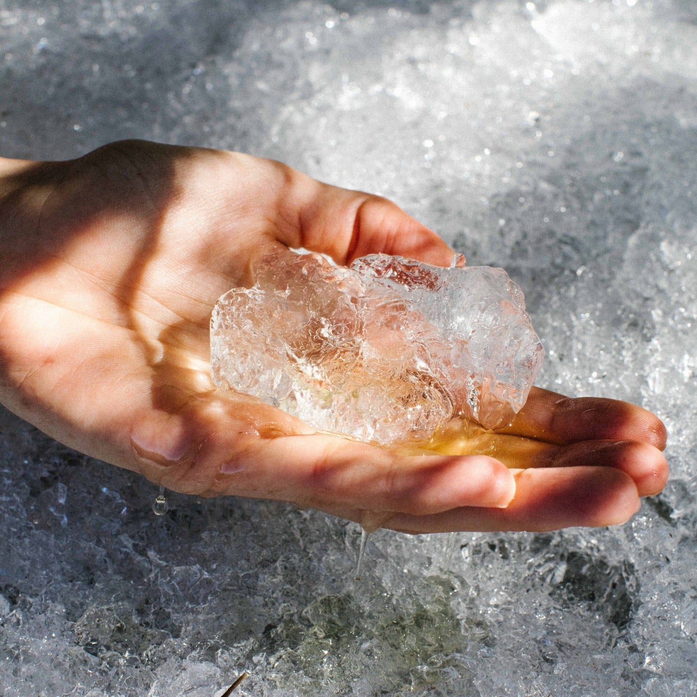 Winter Body Oil – ROWSE